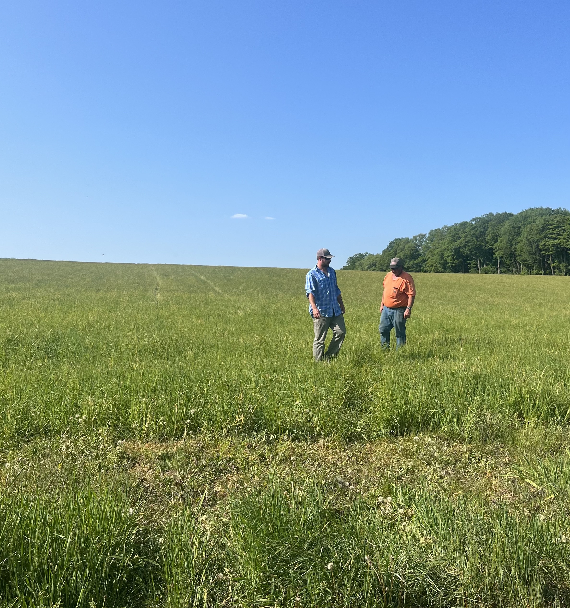 Acomb Ag Appraisal LLC | Agricultural Appraiser in Williamsport PA